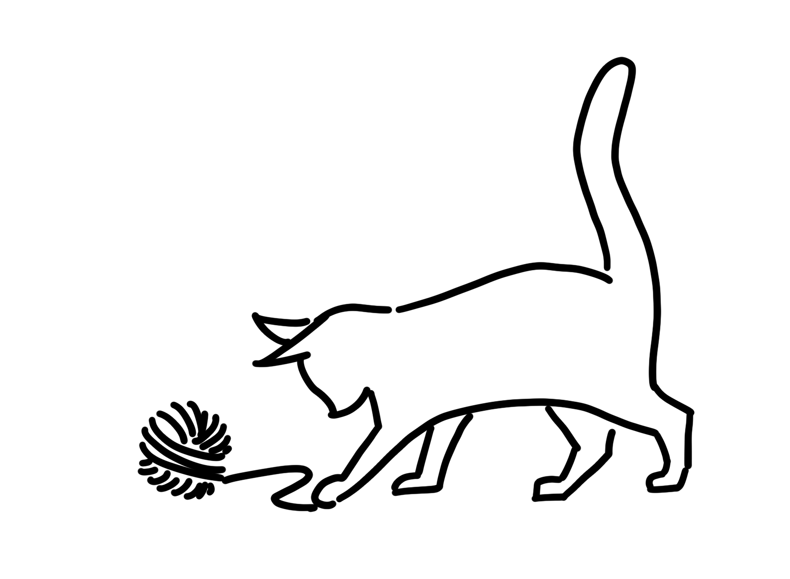 Dr. med. vet. Daniel Wigger I Tierarztpraxis im Gesundheits-Zentrum Roxel, Münster